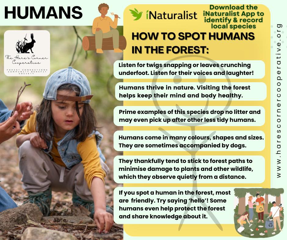 SPECIES SPOTLIGHT: HUMANS – Hare's Corner Cooperative